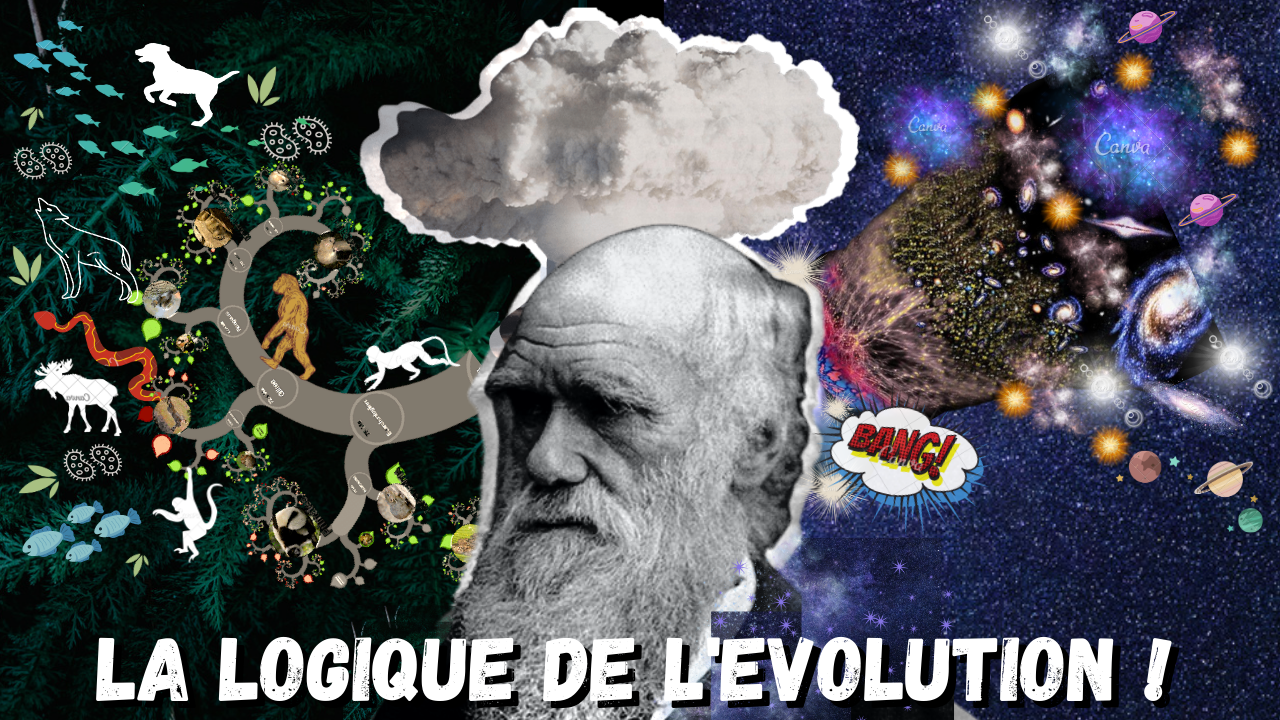 L’EVOLUTION A UN SENS - Multivers-Arcanes
